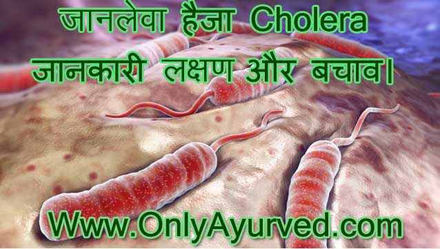 haija – Only Ayurved